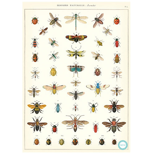 Dekorativ plakat m/insekter - Vintage look. Se flere her